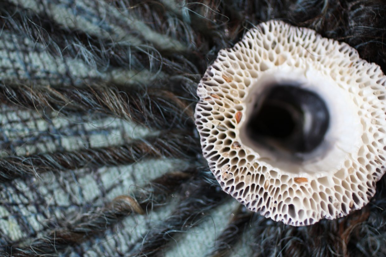 Erica Daley – handmade dolls ~ patterns ~ paintings